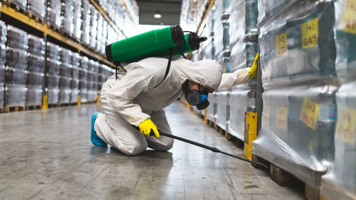 Pest Control Insulation - Martin Exterminating Co